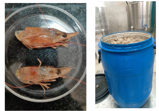 Central Institute of Fisheries Technology (ICAR CIFT)